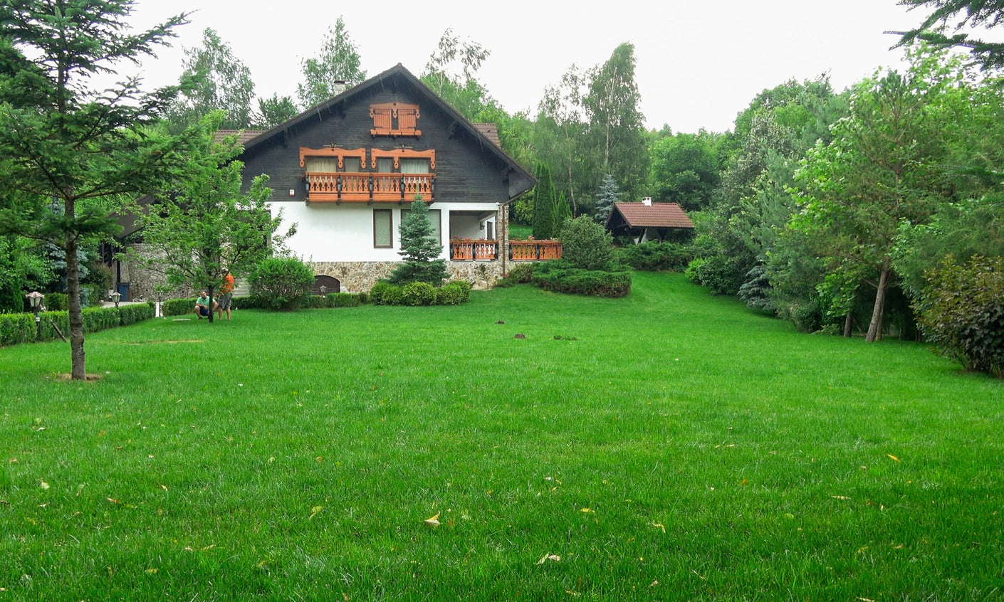 Gazon Rulou Natural pentru grădini, parcuri și terenuri de sport (mp ...