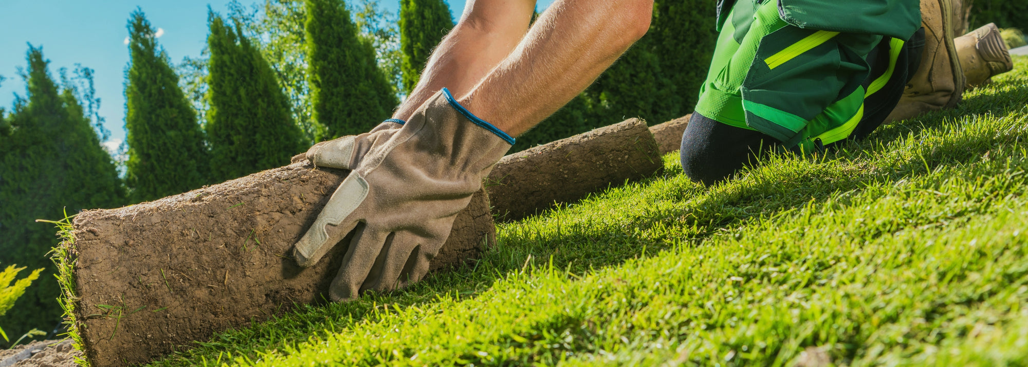 Gazonul™ – Semințe Gazon, Fertilizanti, Echipamente și Gazon Rulat